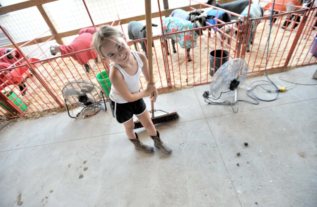 Fair time, fun time | News, Sports, Jobs - Messenger News